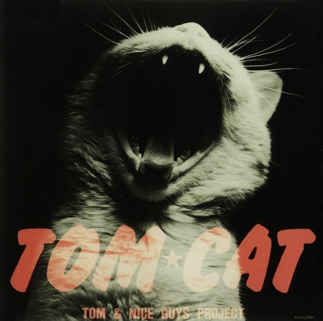 TOM☆CAT - Album de TOM☆CAT | Spotify