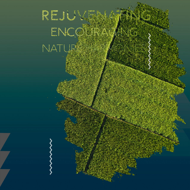 Rejuvenating Encouraging Nature Harmonies - Album by White Noise Nature ...