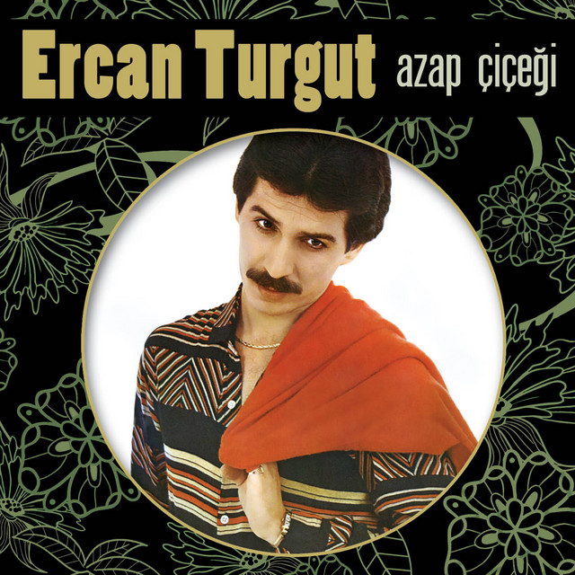 Mecnun - song and lyrics by Ercan Turgut | Spotify