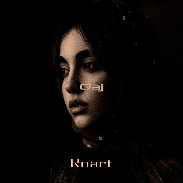 Qaj - song by Roart | Spotify