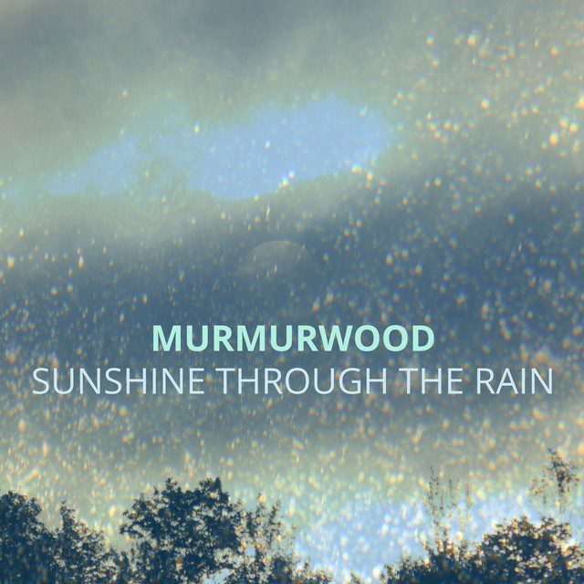 Sunshine Through The Rain - song and lyrics by Murmurwood | Spotify