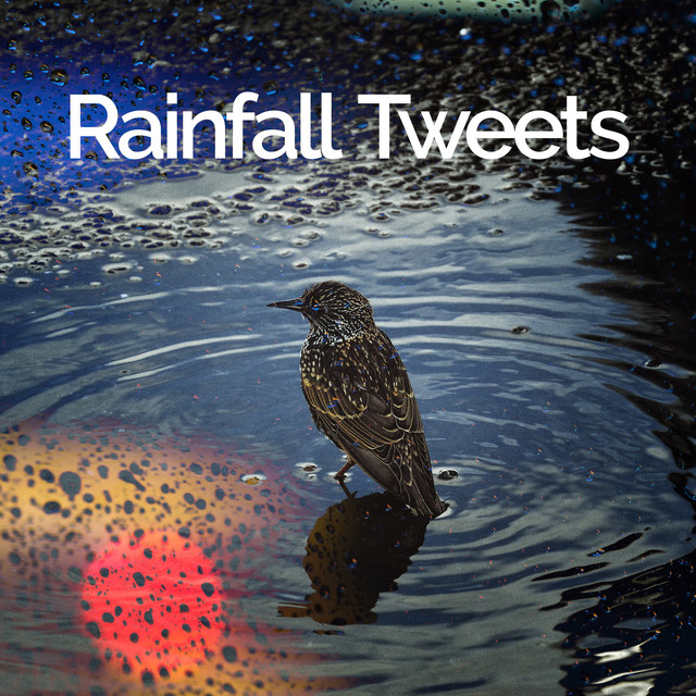 Rainfall Tweets ! ! ! ! - Album by Rain Recorders | Spotify