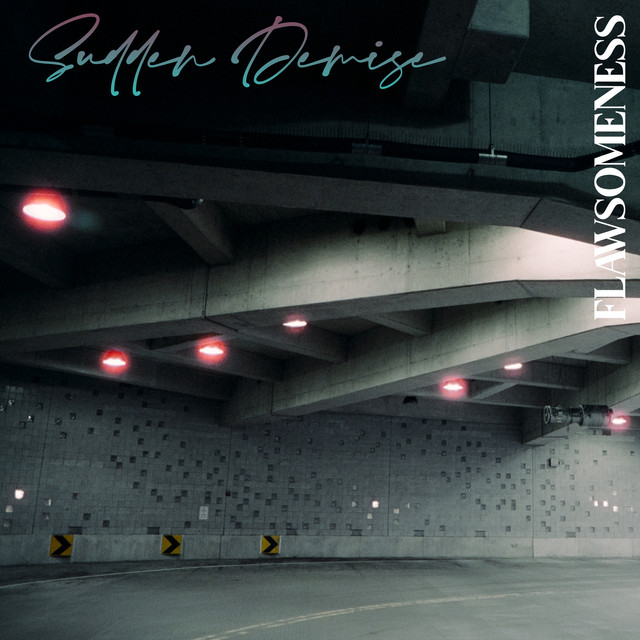 Sudden Demise - Single by Flawsomeness | Spotify