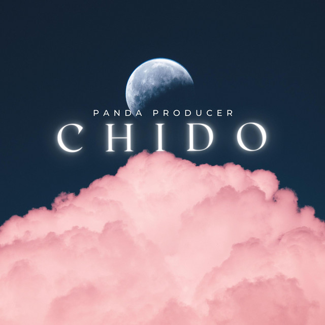 Chido - Single by Panda Producer | Spotify
