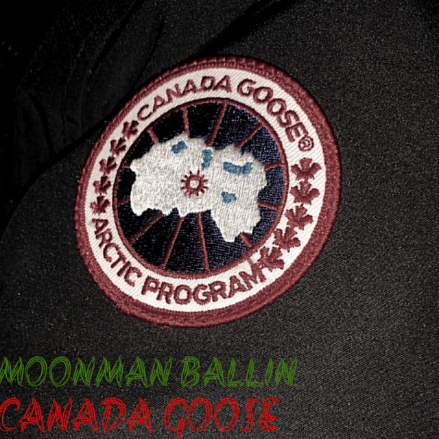 Canada Goose - Single by Moonman Ballin | Spotify