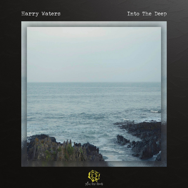 Into the Deep - Single by Harry Waters | Spotify