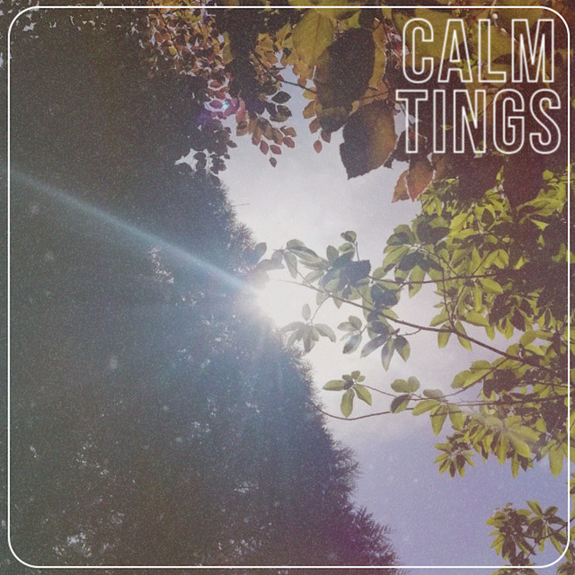 CALM TINGS | Spotify