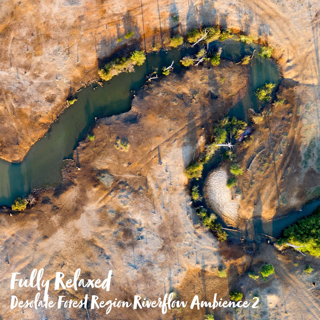 Fully Relaxed: Desolate Forest Region Riverflow Ambience 2 - Album by ...