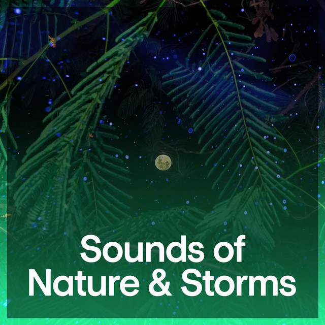Sounds of Nature & Storms ! ! ! ! - Album by Sounds Of Nature ...