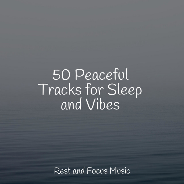50 Peaceful Tracks for Sleep and Vibes - Album by Amazing Spa Music ...