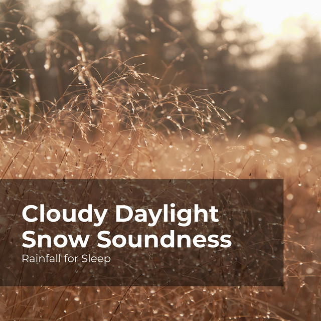 Cloudy Daylight Snow Soundness - Album by Rainfall For Sleep | Spotify