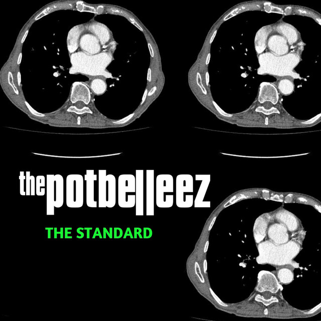 Bpm And Key For Songs By The Potbelleez Tempo For The Potbelleez