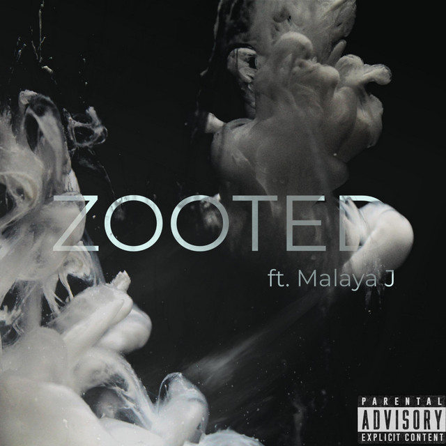 Zooted - Single by Young Costa | Spotify