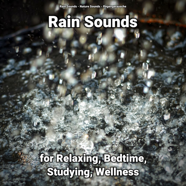 Rain Sounds Pt. 53 - song and lyrics by Regengeräusche, Nature Sounds ...