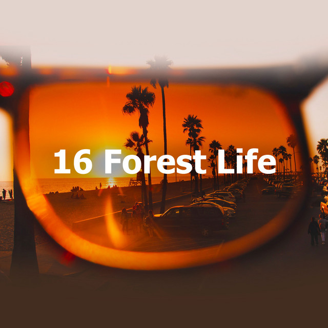 16 Forest Life - Album by Café Ibiza Chillout Lounge | Spotify