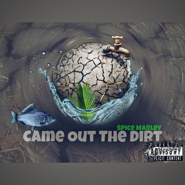 Came Out The Dirt - Single by Spice Marley | Spotify