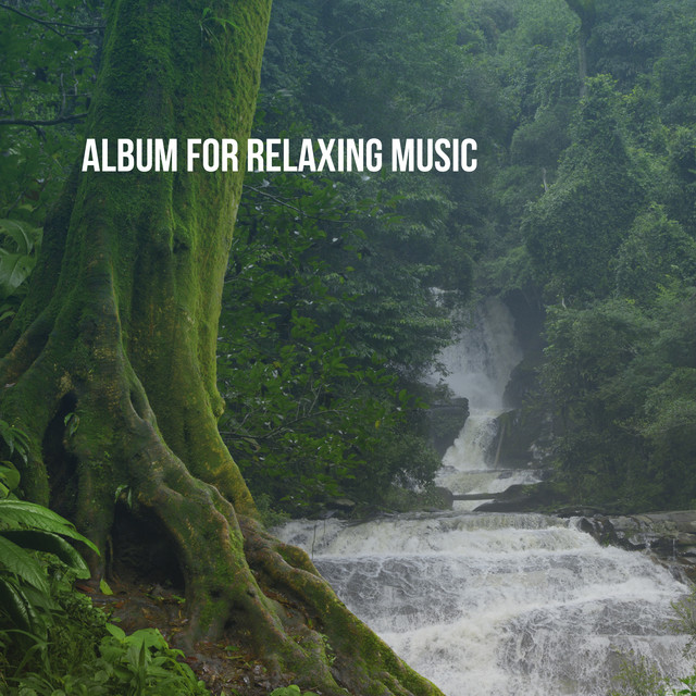 Album for Relaxing Music - Album by Musica Relajante | Spotify