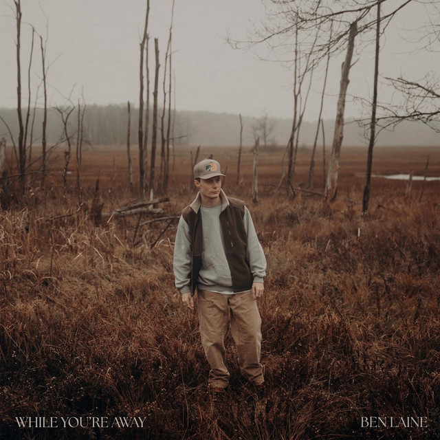 Cowboy in LA - Single by Ben Laine | Spotify