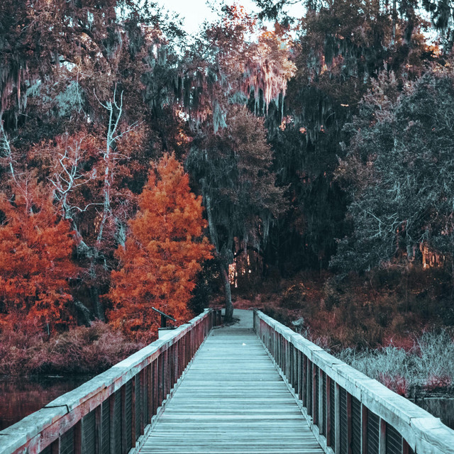 J. Adams | Spotify