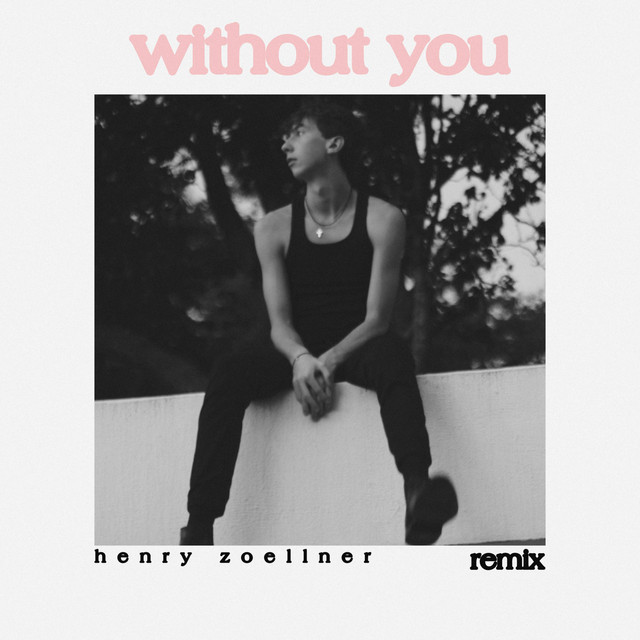 Without You (Remix) - Single by Henry Zoellner | Spotify