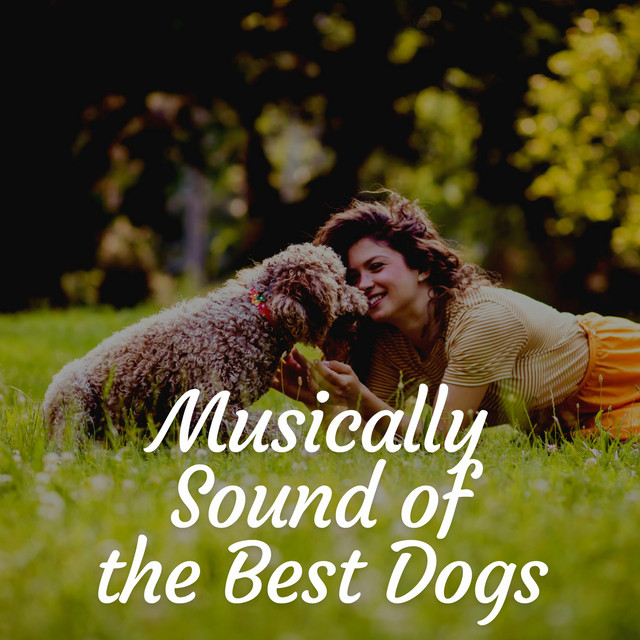 Musically Sound of the Best Dogs - Album by Music for Dog's Ears | Spotify