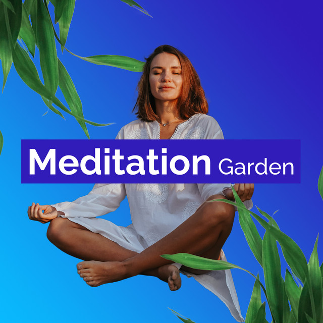 Sine - song and lyrics by Meditate to Relaxation Music | Spotify