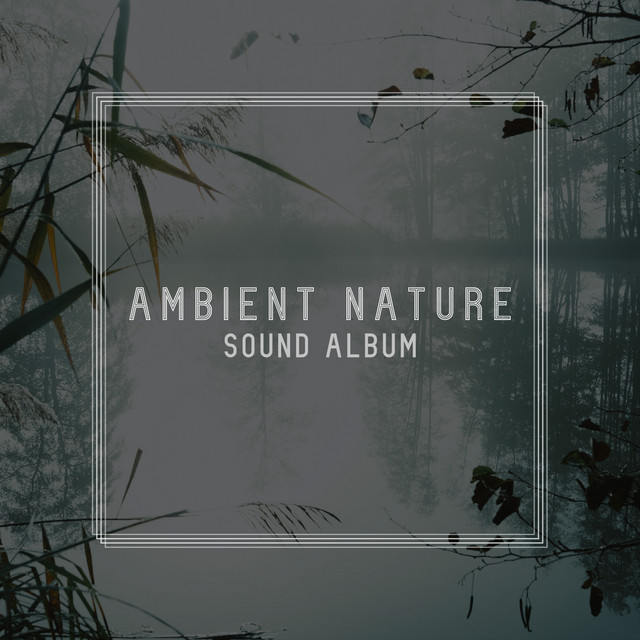 Ambient Nature Sound Album, Vol. 2 - Compilation by Various Artists ...