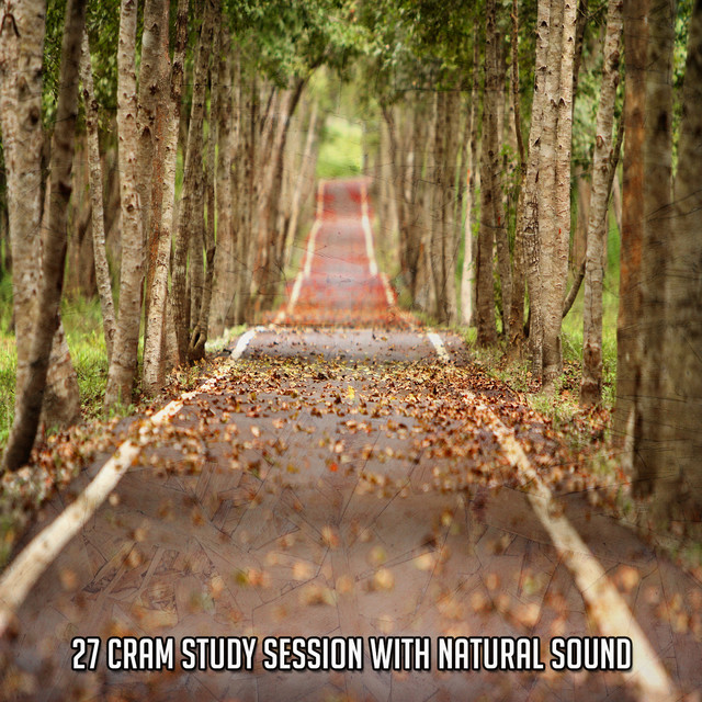 27 Cram Study Session With Natural Sound - Album by Nature Sounds for ...