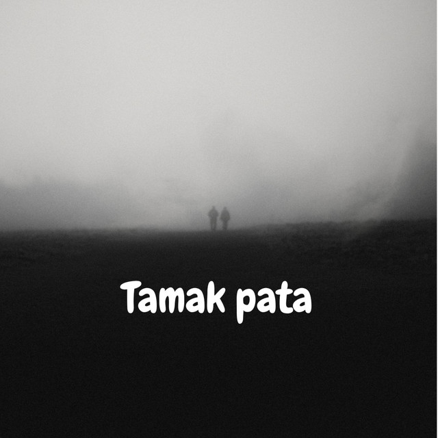 Tamak Pata - Single by Ashess | Spotify
