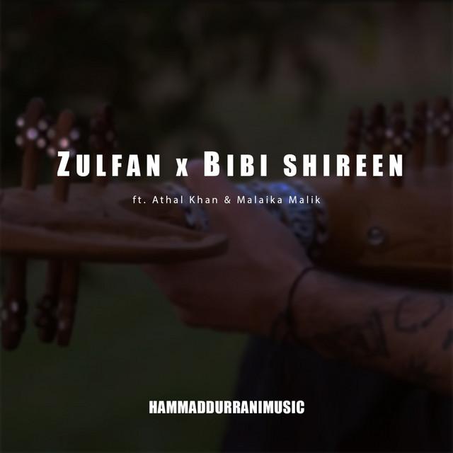 Zulfan X Bibi Shireen - song and lyrics by Hammad Durrani | Spotify