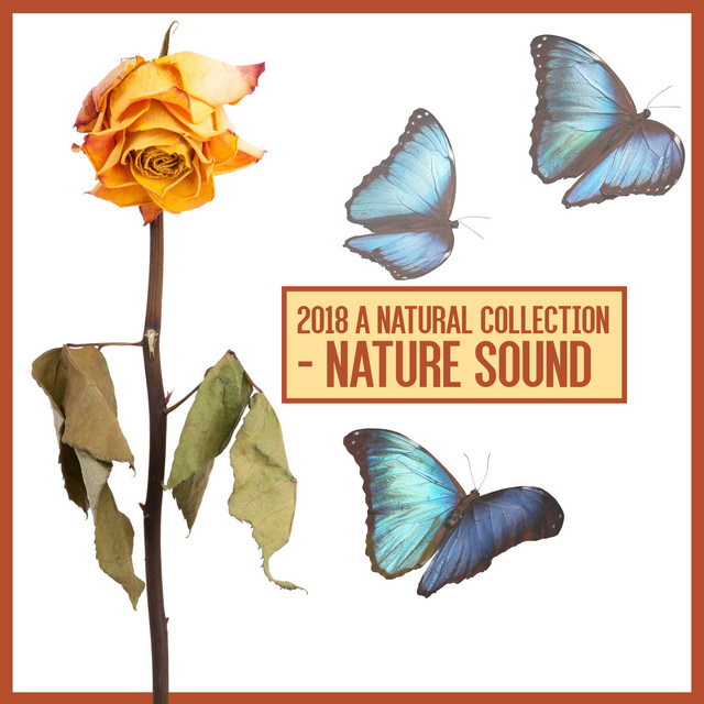 2018A Natural Collection - Nature Sound – Album de Sounds of Nature ...