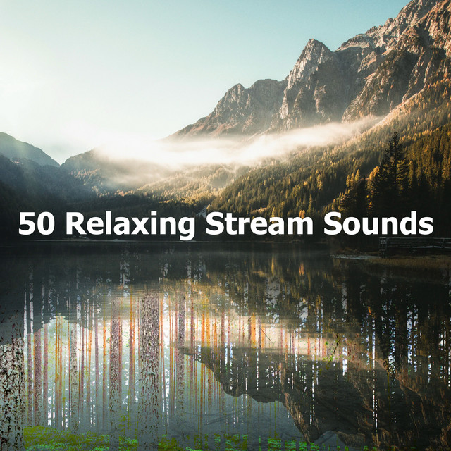 50 Relaxing Stream Sounds - Album by The Relaxing Sounds of Water | Spotify