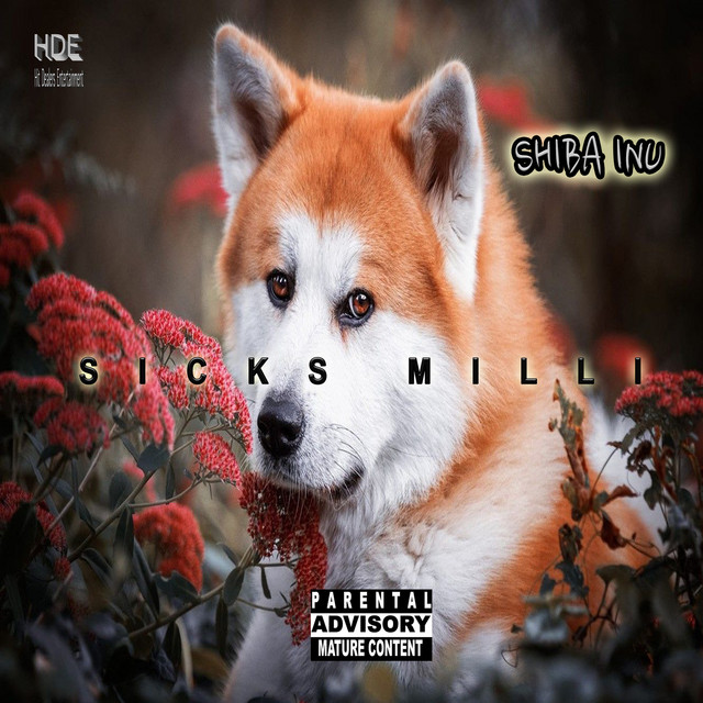 Shiba Inu - song and lyrics by Sicks Milli | Spotify
