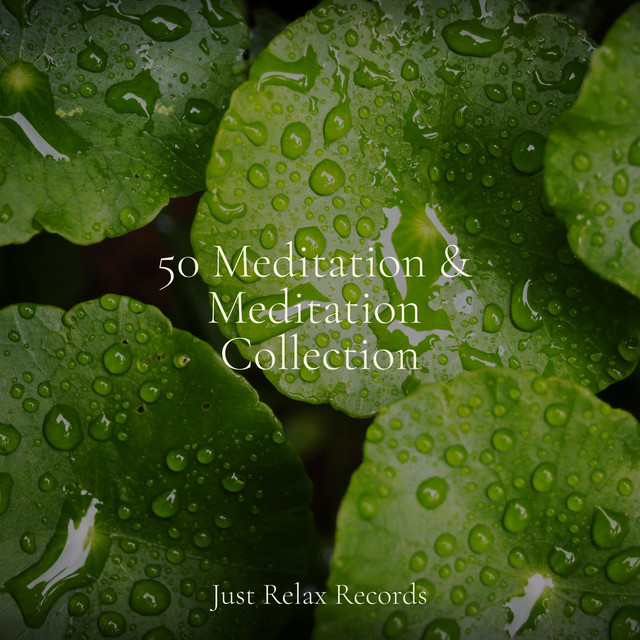 50 Meditation & Meditation Collection - Album by Deep Sleep Meditation ...