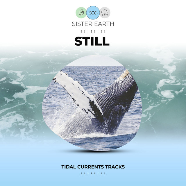 Still Tidal Currents Tracks ! ! ! ! ! ! ! ! - Album by Ocean Waves For Sle