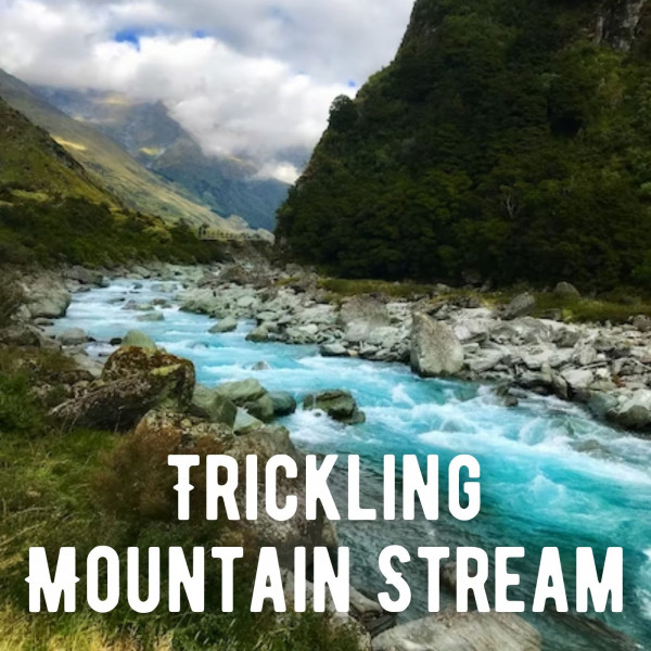 Trickling Mountain Stream - Album by Ambient Music Bliss | Spotify