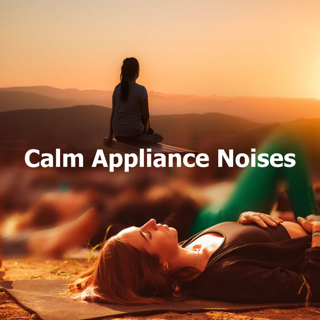 Calm Appliance Noises - Album by Appliances for Meditation | Spotify