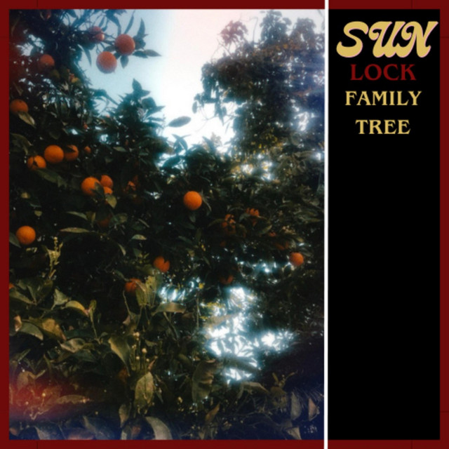 Family Tree - song by SUNLOCK | Spotify