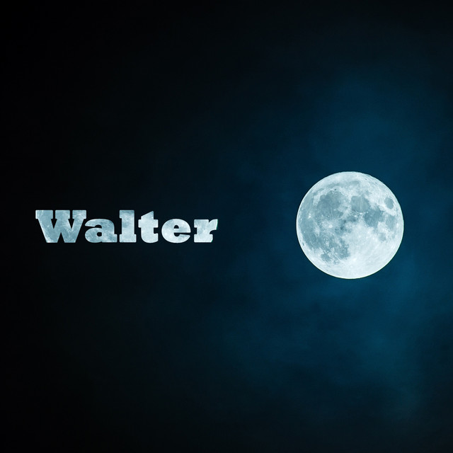 Walter - Single by Simbou Walle | Spotify