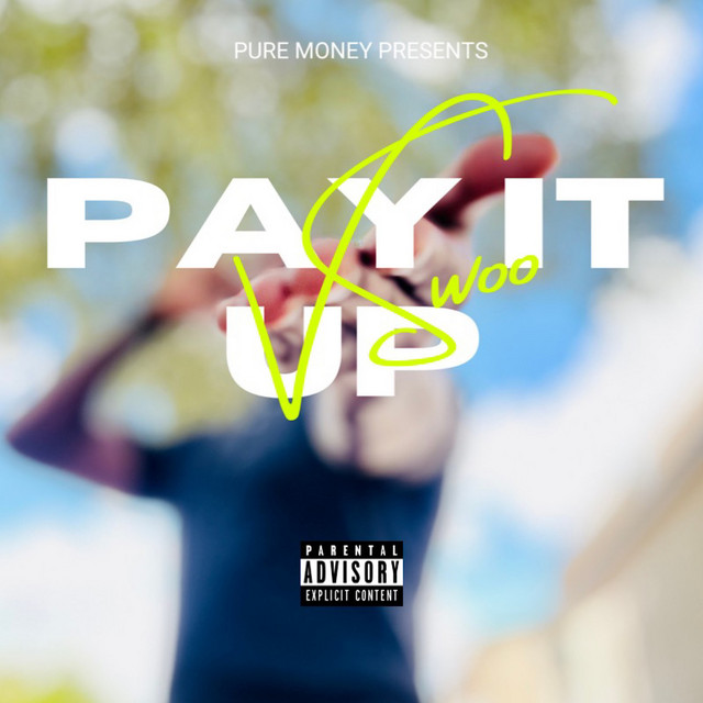 Pay It Up - Single by VS Woo | Spotify
