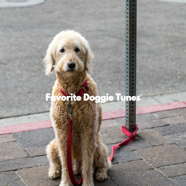 Favorite Doggie Tunes - Album by Relaxing Dog Music Classics | Spotify