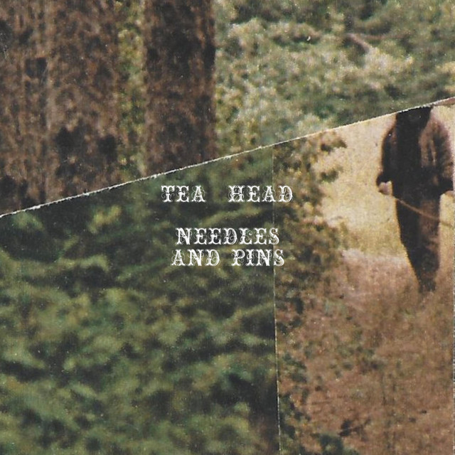 Needles and Pins - song and lyrics by Tea Head | Spotify