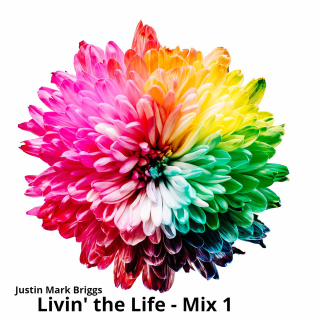 Livin' the Life - Mix 1 - song and lyrics by Justin Mark Briggs | Spotify