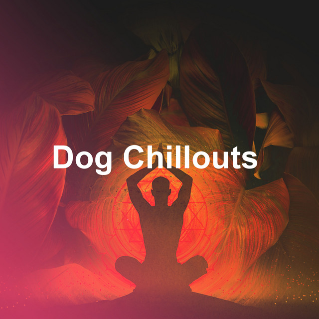 Dog Chillouts - Album by Dog Chill Out Music | Spotify