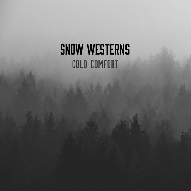 Cold Comfort - Album by Snow Westerns | Spotify