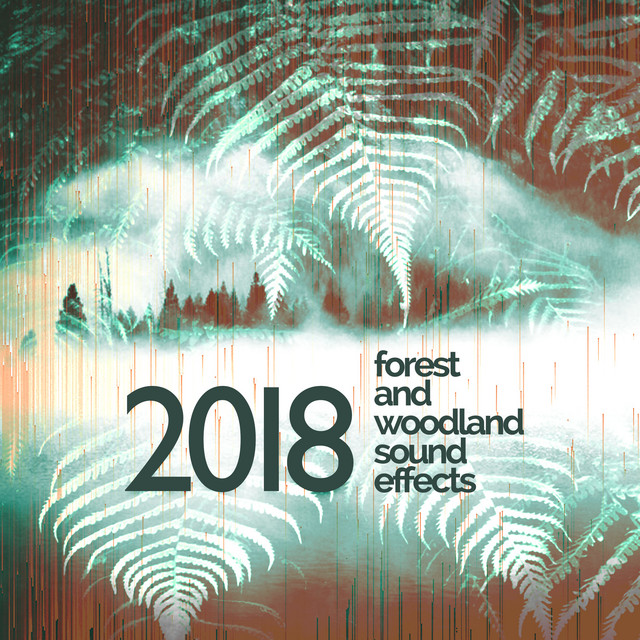 2018Forest and Woodland Sound Effects - Album by Forest Sounds | Spotify