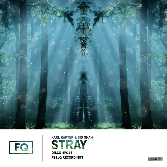 Stray - song and lyrics by Karl Karter, Sid Shah | Spotify