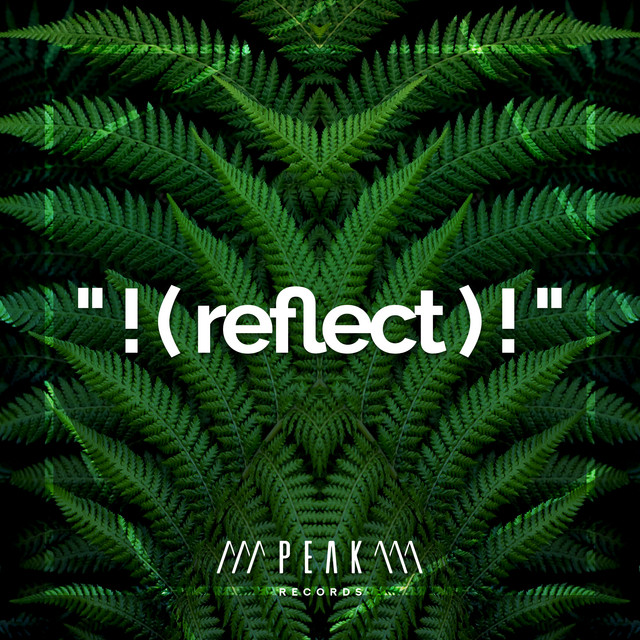 reflect ) ! " - Album by Nature Recordings | Spotify