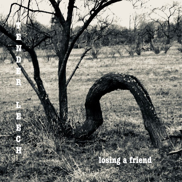 Losing a Friend - Single by Tender Leech | Spotify