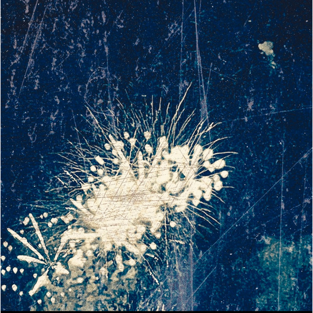Blue Moment. - Single by Melt and Release. | Spotify